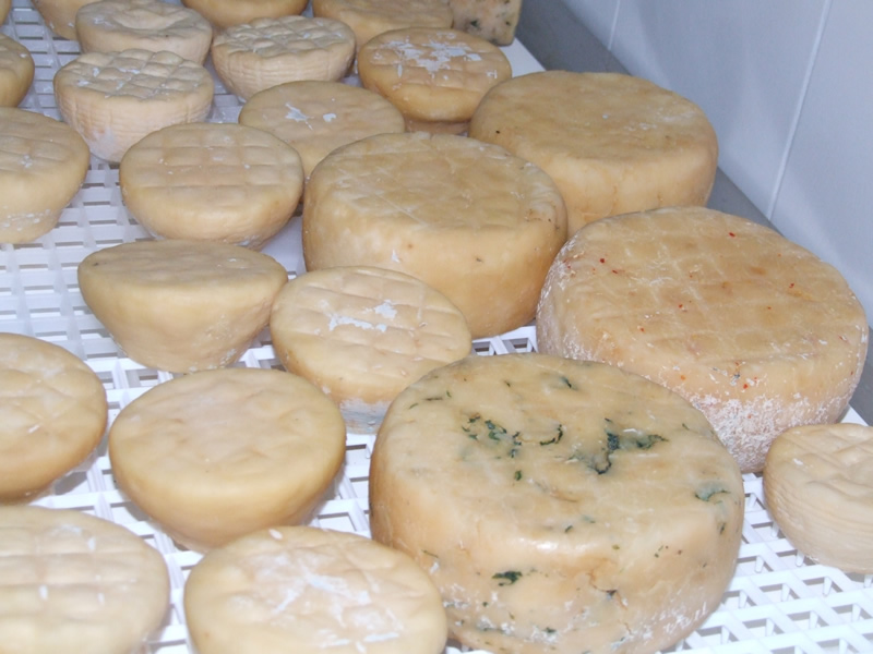 Formaggi - La Pastorella Azienda Agricola