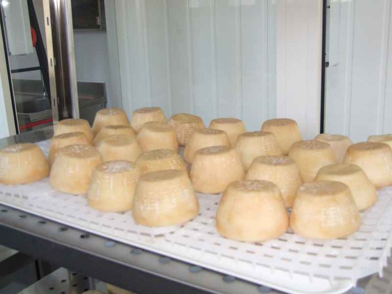 Formaggi - La Pastorella Azienda Agricola