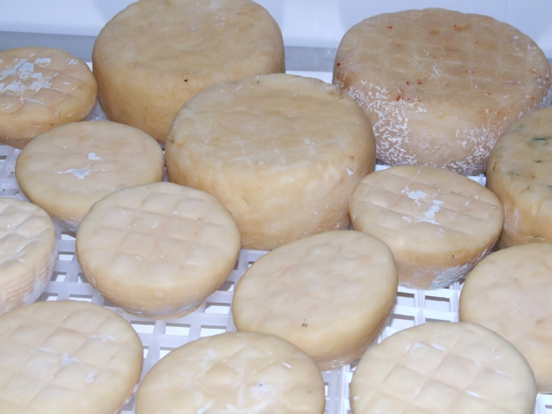 Formaggi - La Pastorella Azienda Agricola