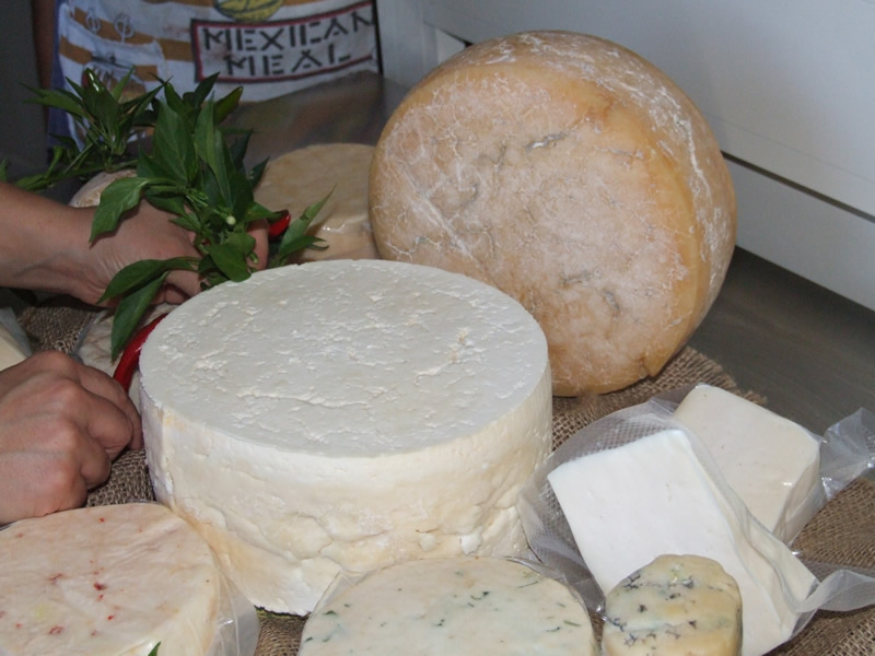 Formaggi - La Pastorella Azienda Agricola