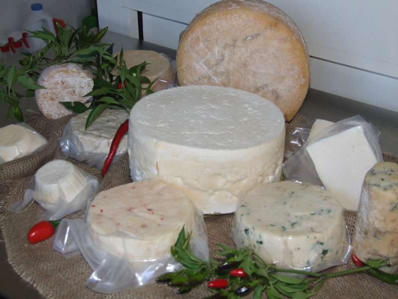 Formaggi - La Pastorella Azienda Agricola