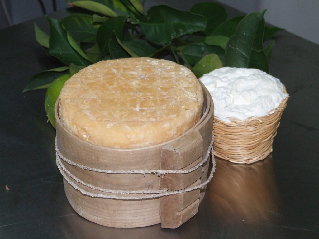 Formaggi - La Pastorella Azienda Agricola