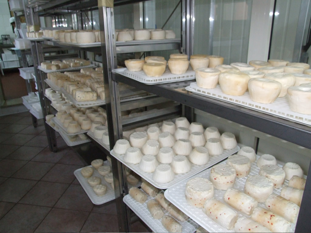 Formaggi - La Pastorella Azienda Agricola