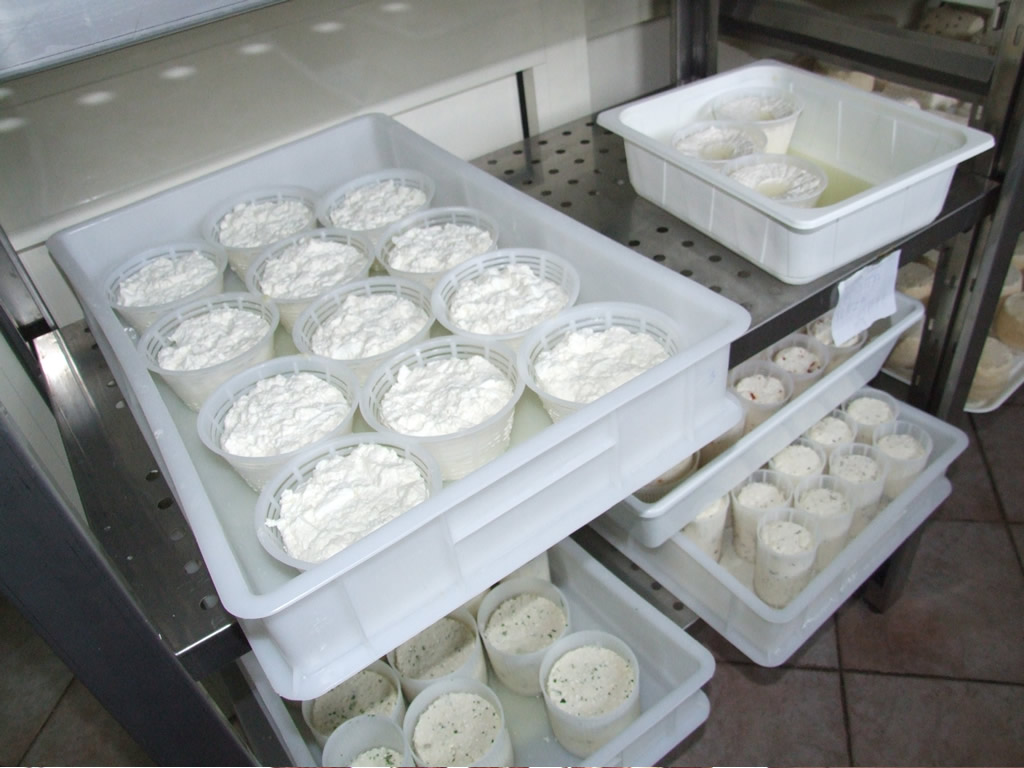 Formaggi - La Pastorella Azienda Agricola